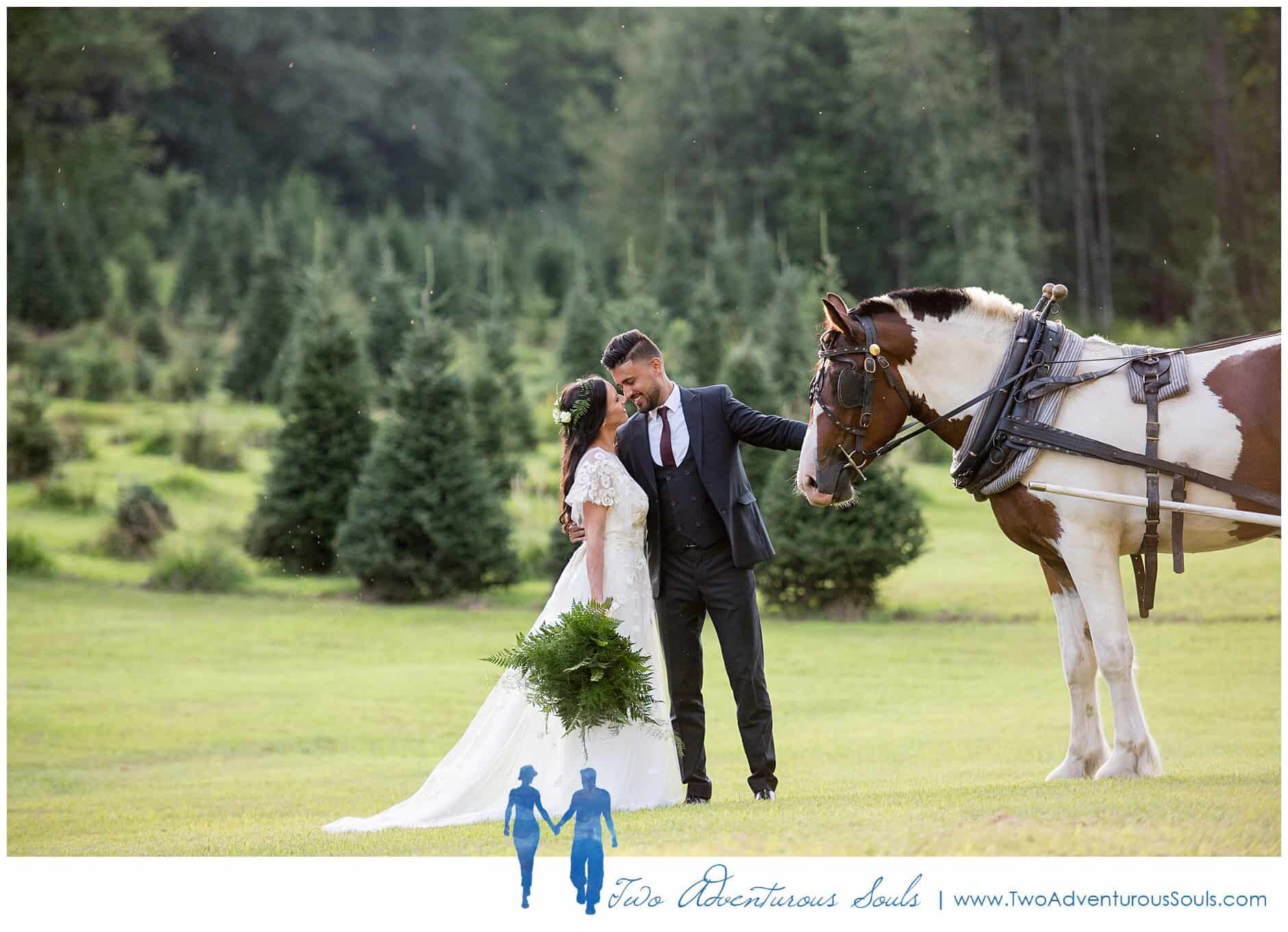 Unique Tree Farm Wedding | Maine Wedding Photographers | Two ...